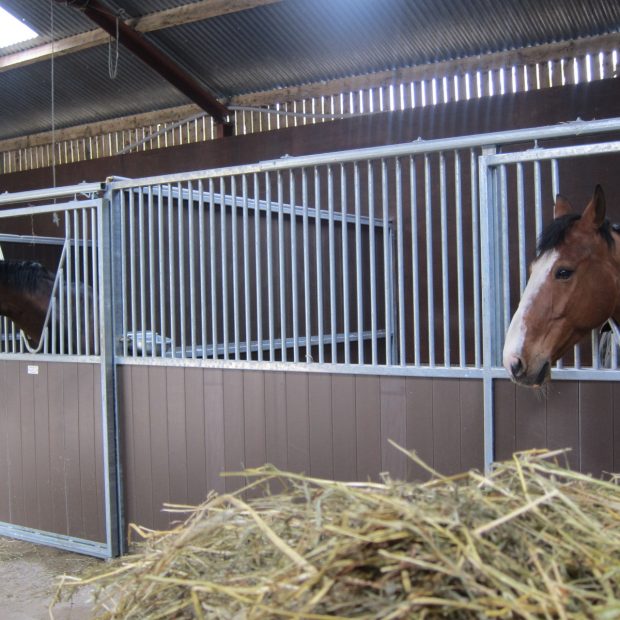 Indoor Horse Stables | Allenweld - Quality Equestrian and Agricultural ...