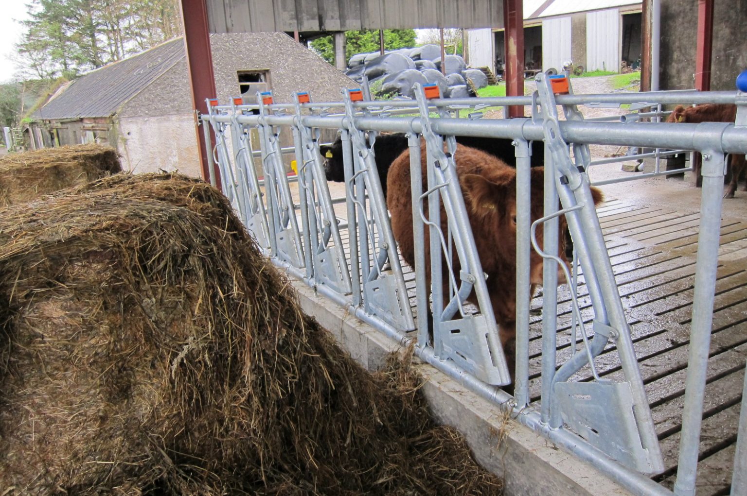 Cattle Feed Barriers | Allenweld - Quality Equine and Agri Products